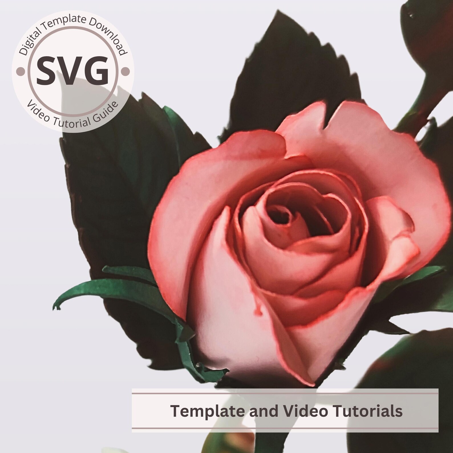 Paper Flower Rose Bud Template | Two Tone Buds Roses & Leaves Digital ...