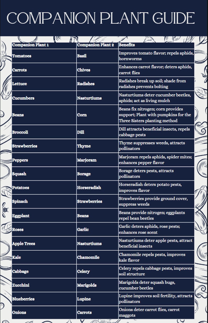 Planting Bundle - Etsy