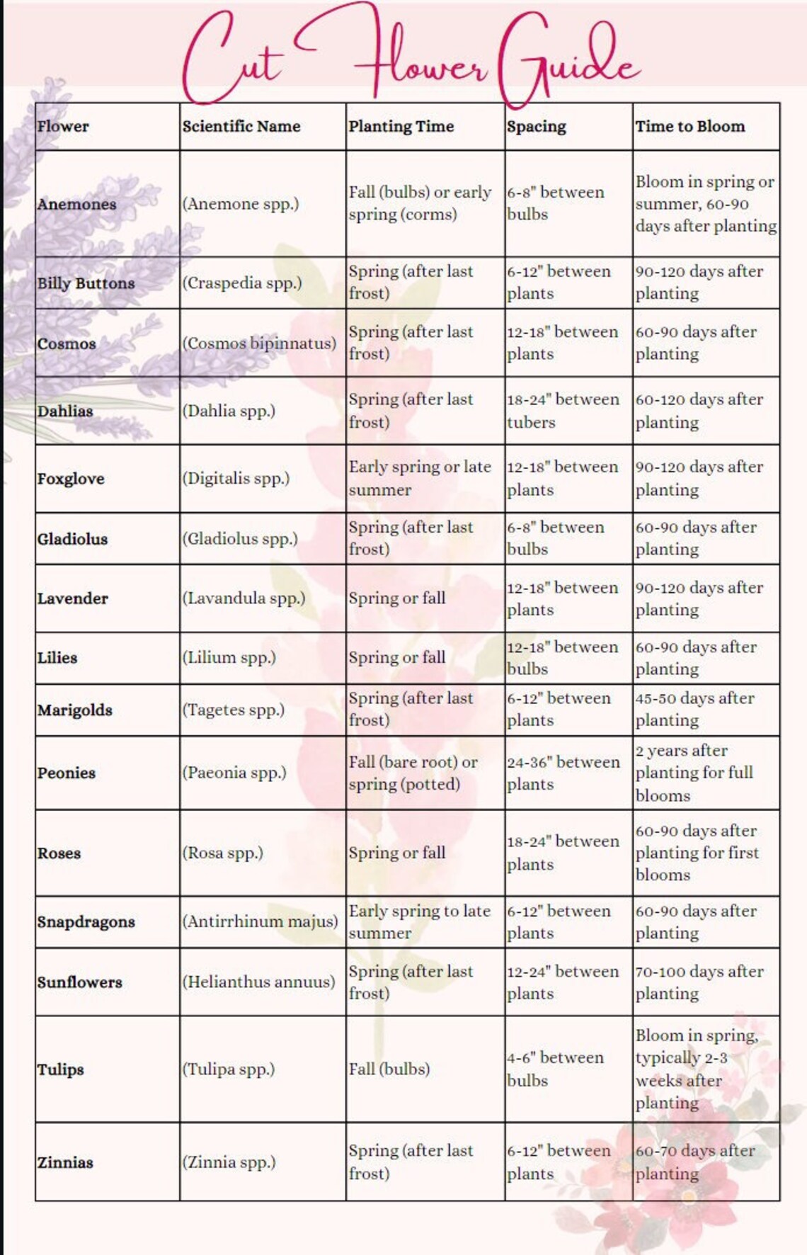 Cut Flower Guide - Etsy