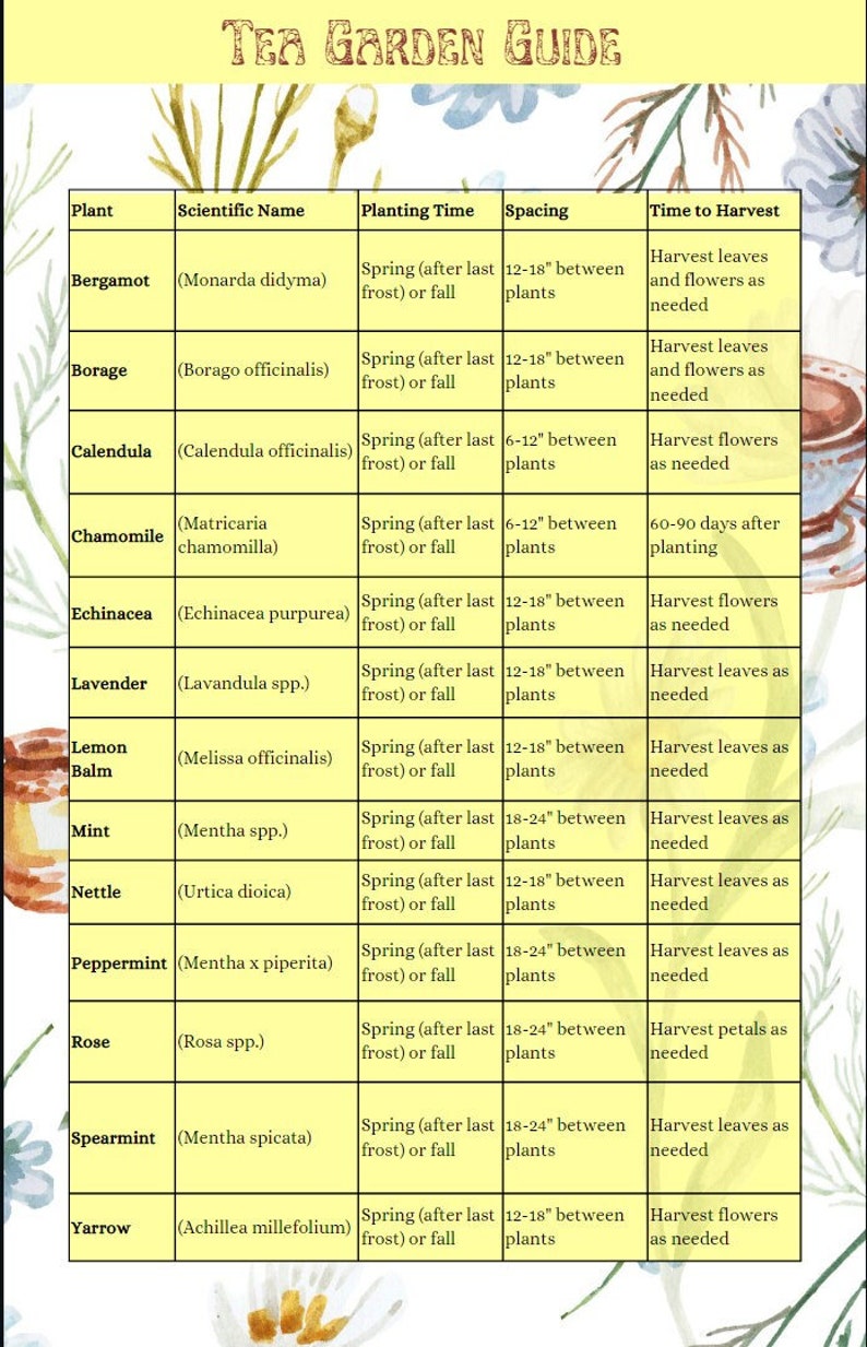 Tea Garden Guide - Etsy