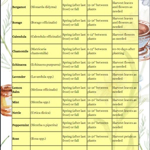 Planting Bundle - Etsy