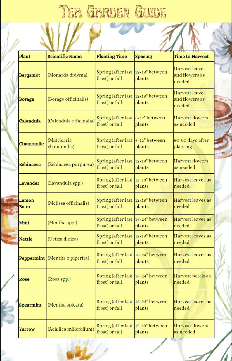 Planting Bundle - Etsy