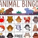 Instant Download: 50 Printable Animal Bingo Cards for Endless Fun ...