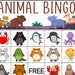 Instant Download: 50 Printable Animal Bingo Cards for Endless Fun ...
