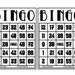 1200 Printable Bingo Cards 2 per Page Large Parties Games - Etsy