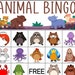 Instant Download: 50 Printable Animal Bingo Cards for Endless Fun ...