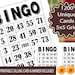 1200 Printable Bingo Cards, 1 per Page, Party Favors Supplies for All ...