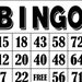 1200 Printable Bingo Cards, 1 per Page, Party Favors Supplies for All ...
