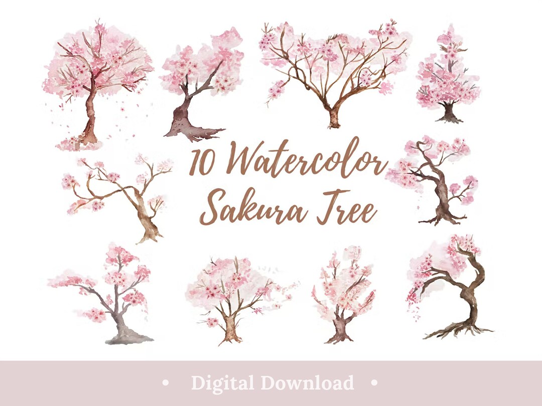 Watercolor Cherry Blossom Tree Png Clipart Elegant Floral Flower ...