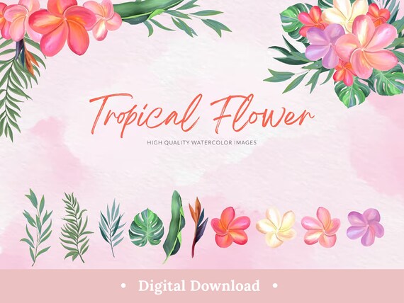 Tropical Flowers Pastel Greenery Png Foliage Clipart Green - Etsy