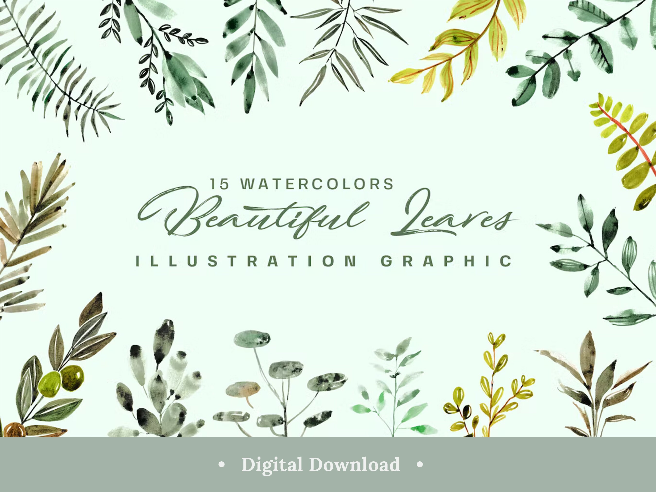 Watercolor Leaves Clipart Floral Greenery Png Elegant - Etsy