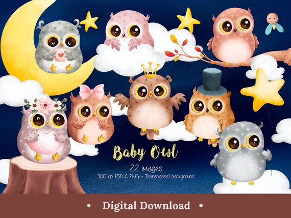 Watercolor Owl Clipart Cute Pastel Animals Png for Kids Baby - Etsy