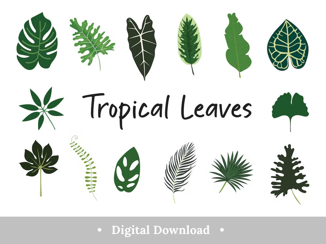 Greenery Png Tropical Foliage Clipart Green Leaves Individual - Etsy