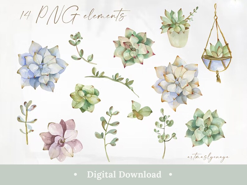 Watercolor Succulents Clipart Png Elegant Aesthetic 14 Pastel - Etsy