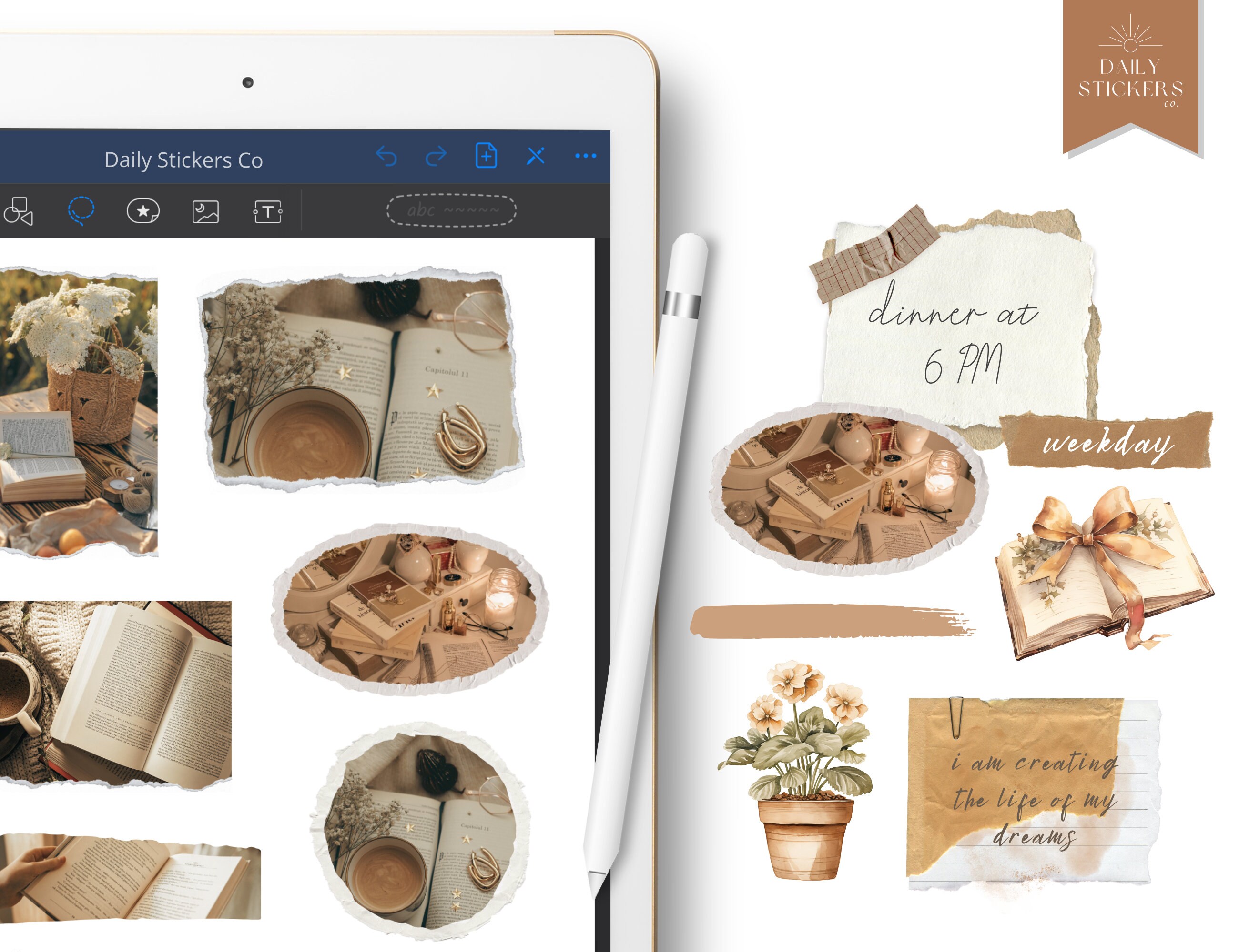 Reader's Journey Goodnotes Digital Stickers for Everyday Use, Aesthetic ...