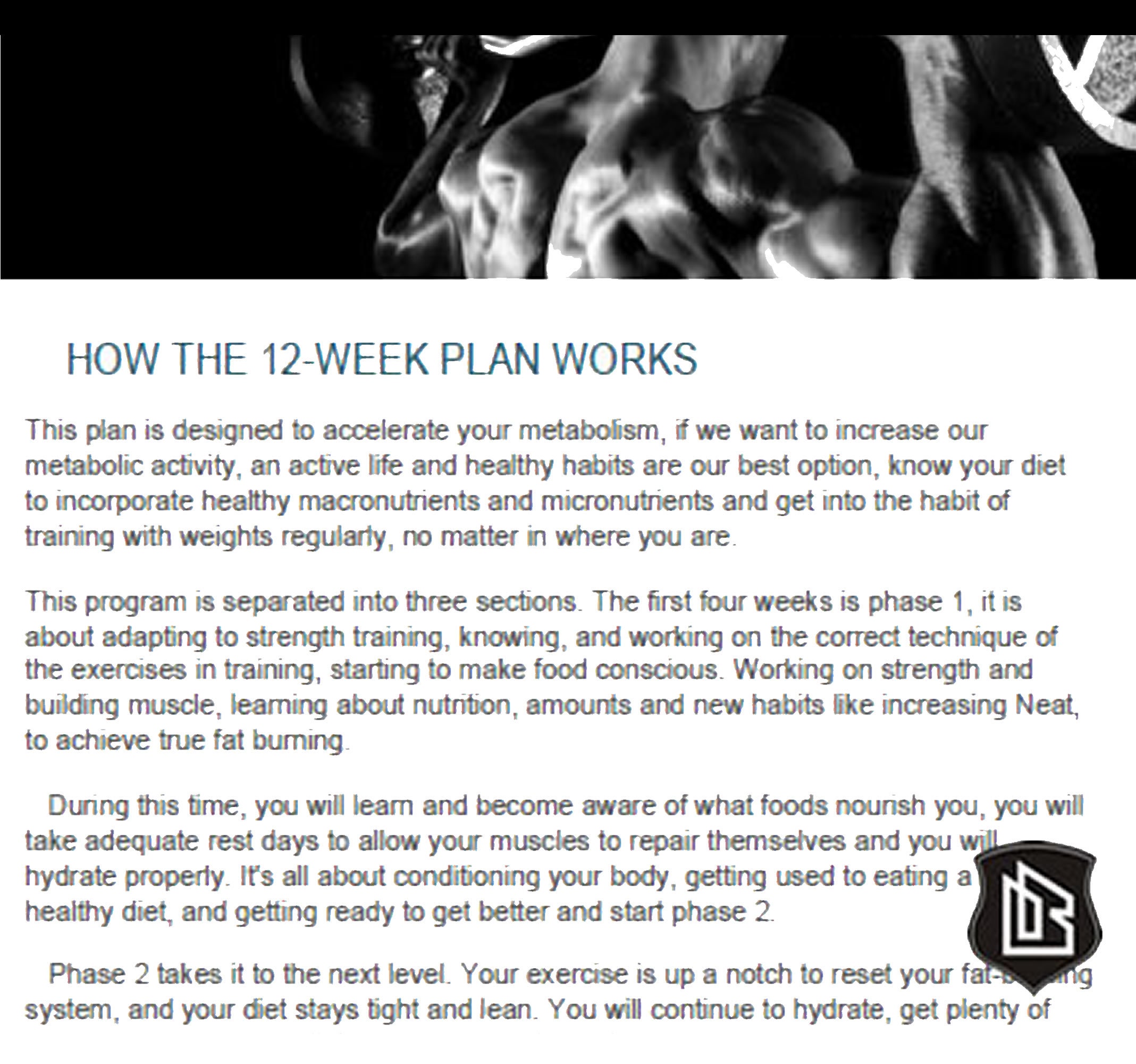 Bulking Man Junior 12 Week Fitness Program Gym Guide With Nutrition ...