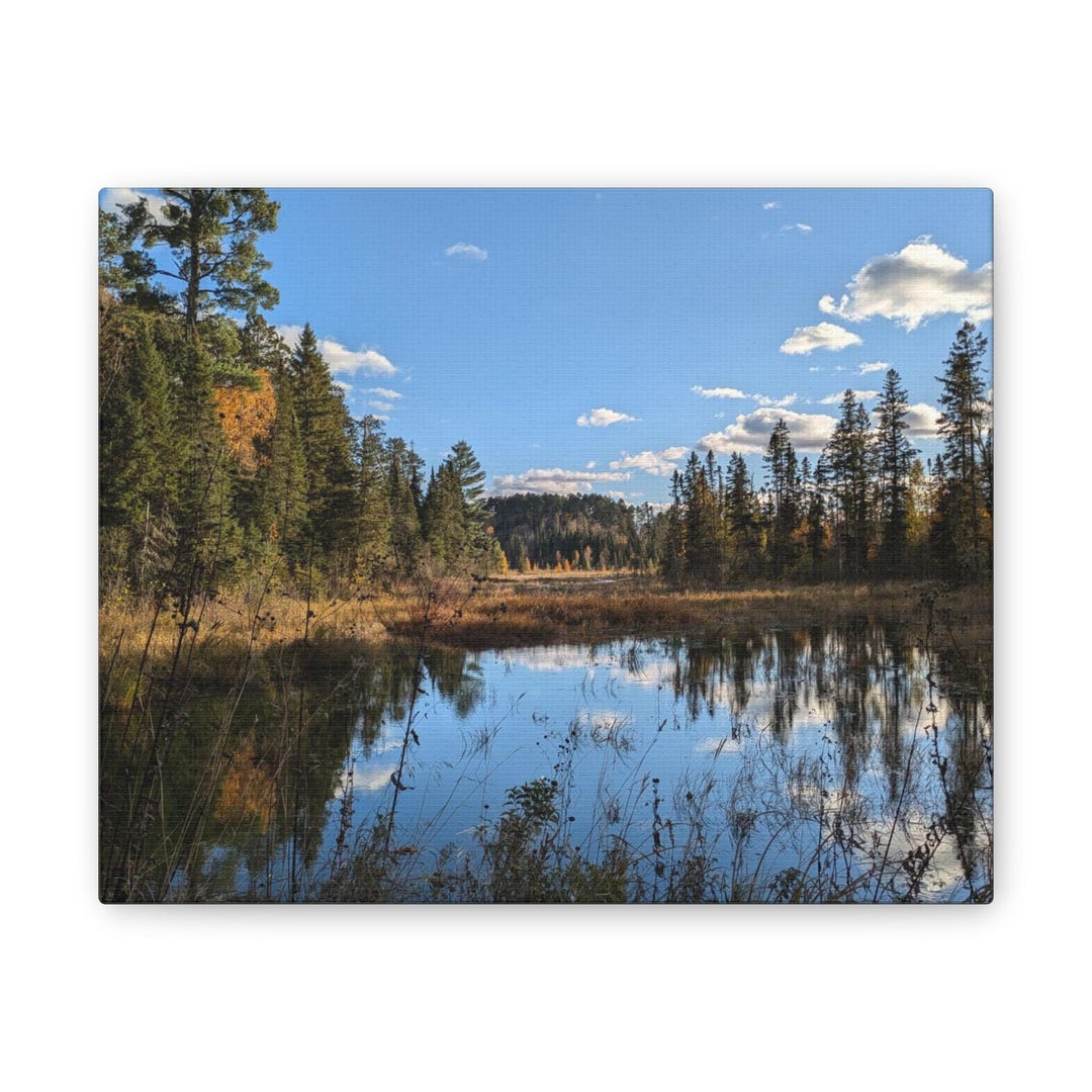 Canvas Stretched, Itasca State Park Minnesota Landscape Wall Art, 0.75 ...