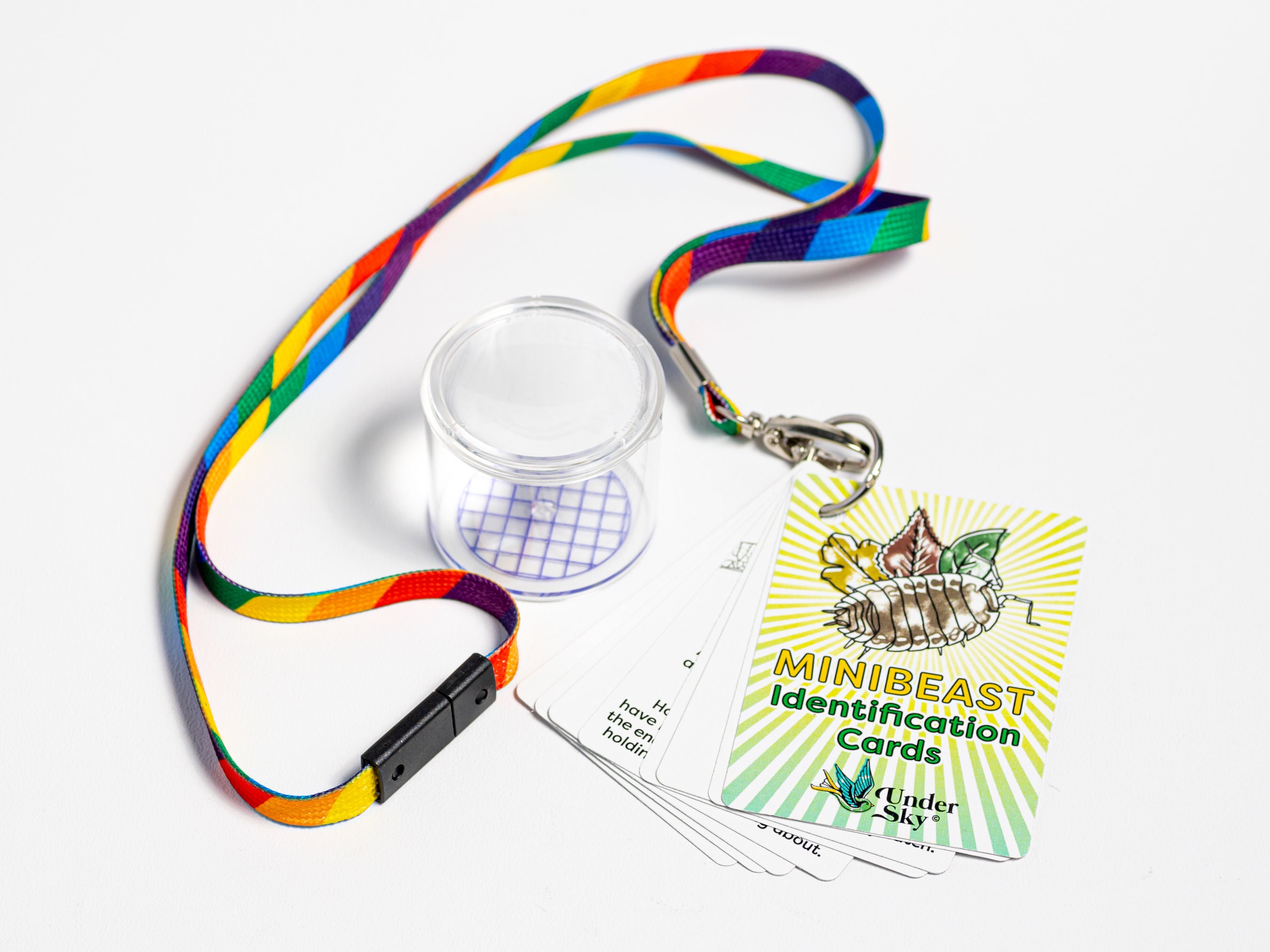 Meet the Minibeasts: Outdoor Activity Kit for Children - Etsy UK