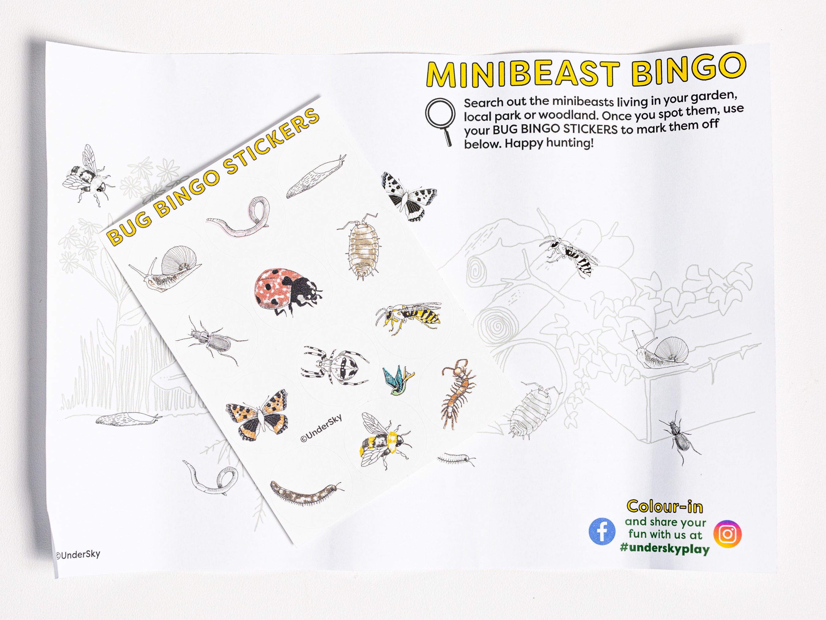 Meet the Minibeasts: Outdoor Activity Kit for Children - Etsy UK