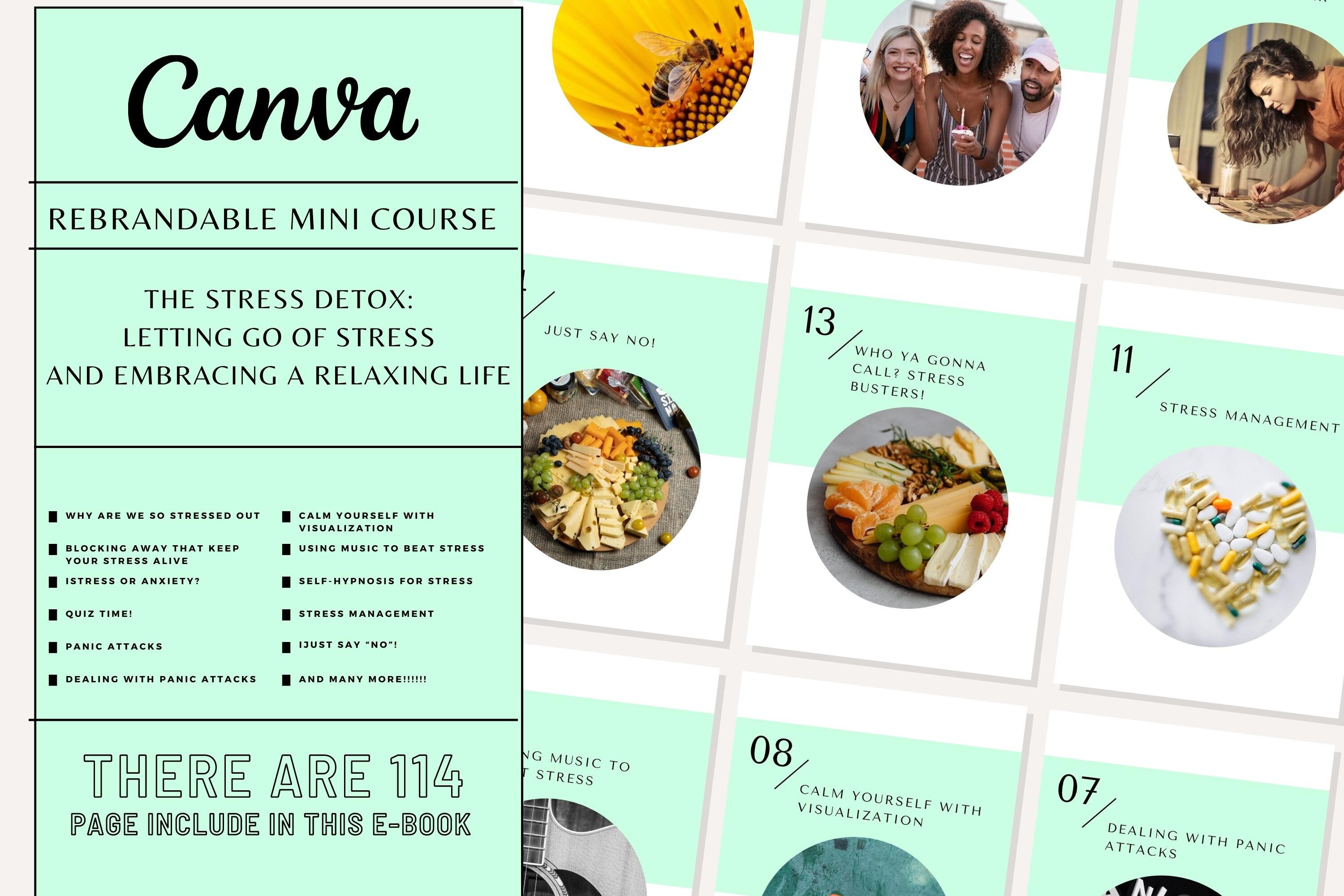 Done for You Eliminate Stress and Anxiety Workbook With CANVA - Etsy