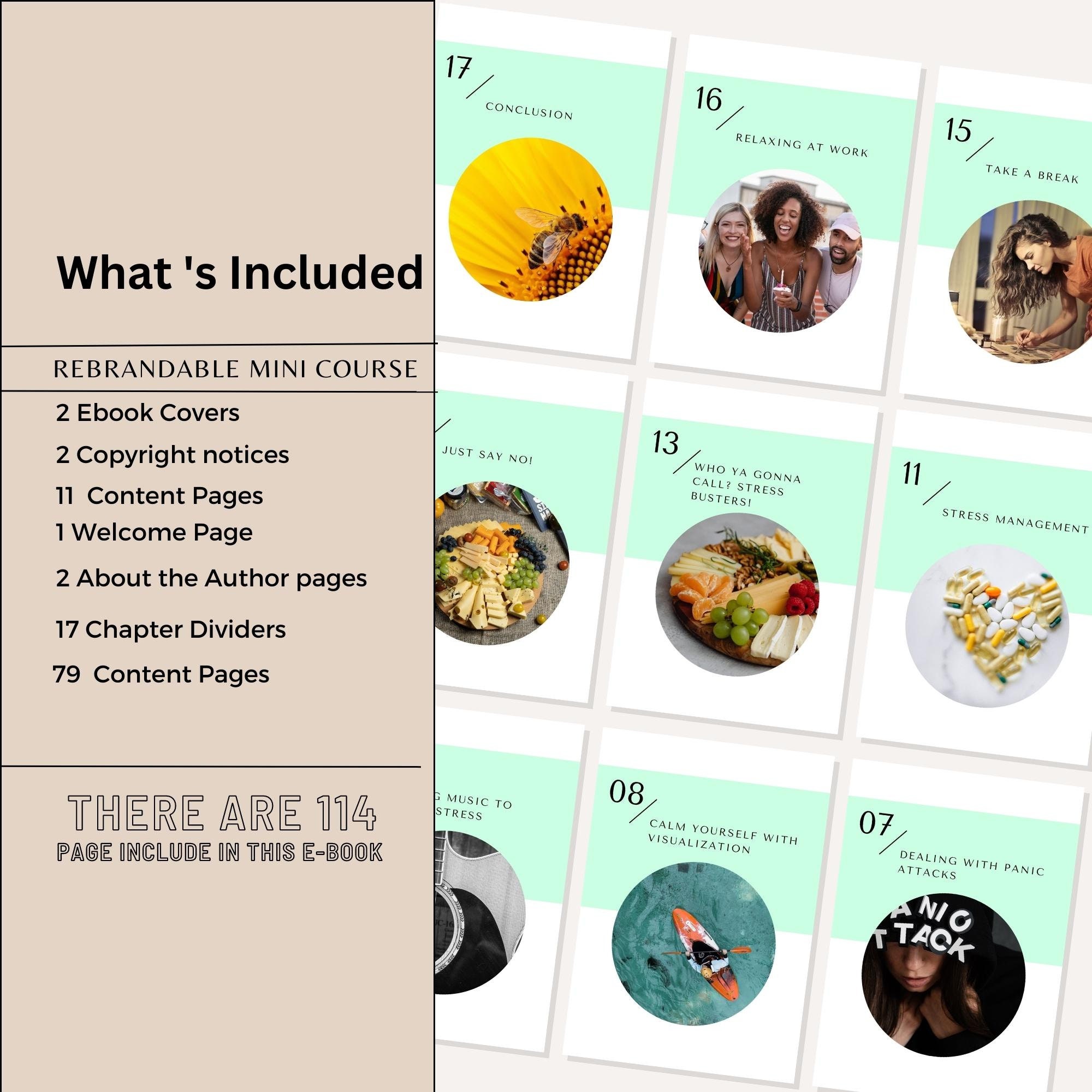 Done for You Eliminate Stress and Anxiety Workbook With CANVA Editable ...