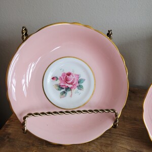 Paragon Pale Pink Teacup With Floating Pink Cabbage Rose | English Bone ...