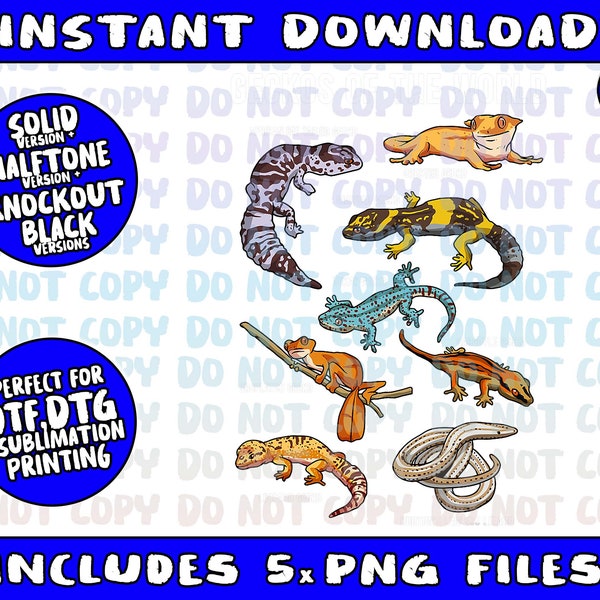 Crested Gecko Svg - Etsy