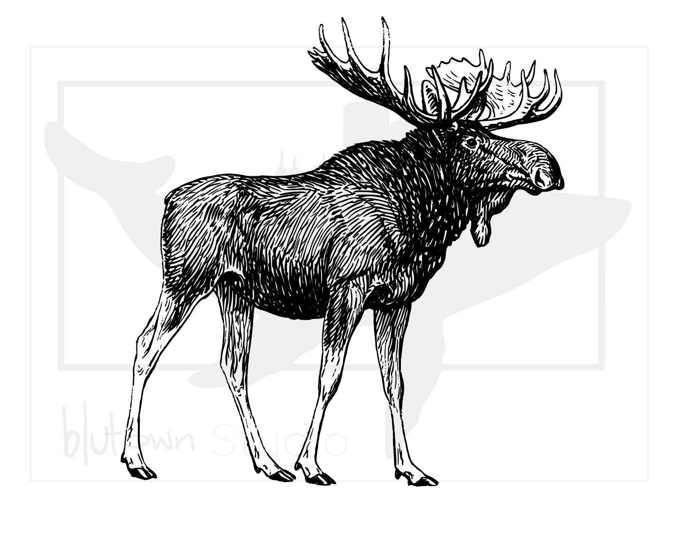 Moose Svg Png Jpg Digital Download - Etsy Canada