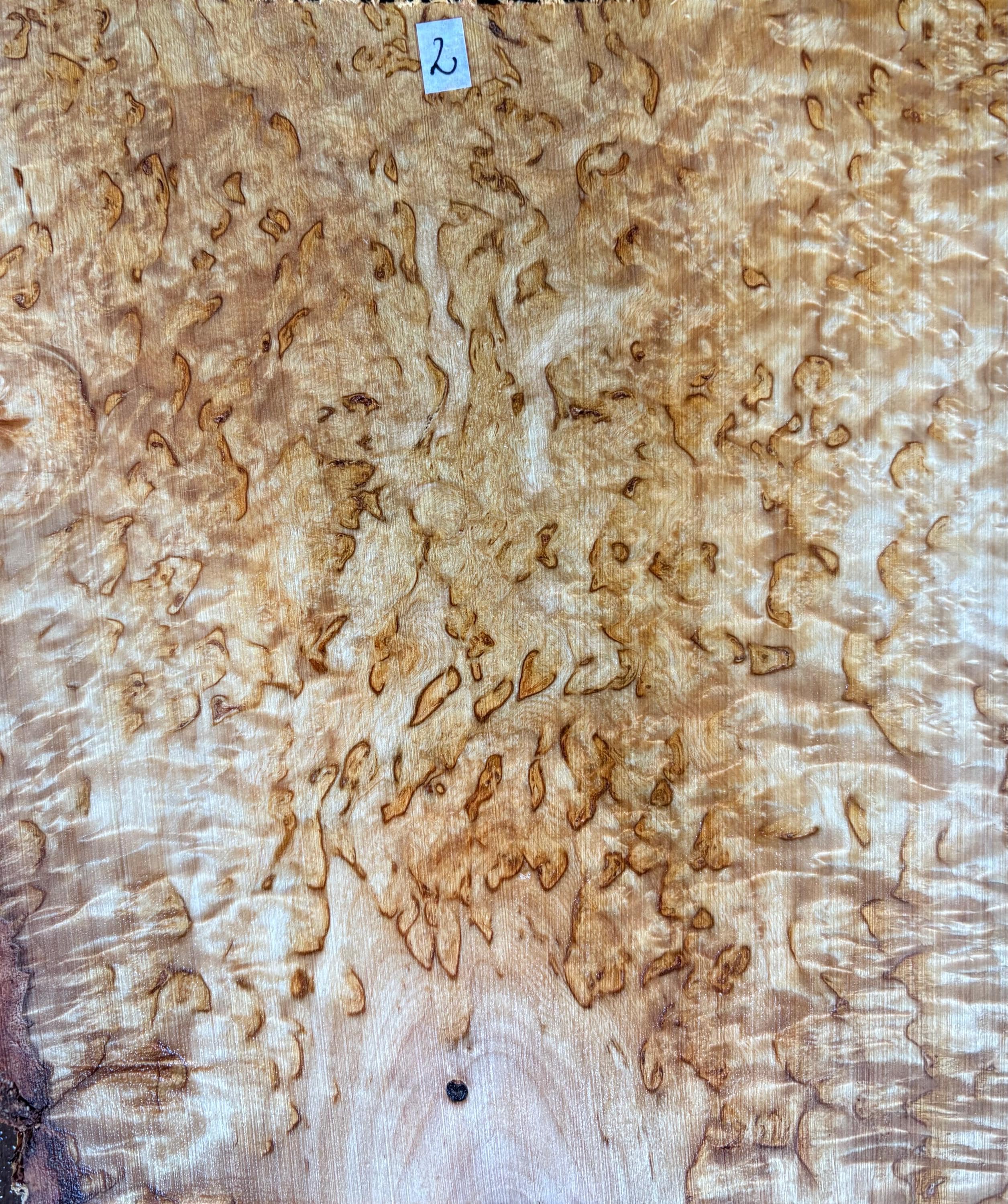 Karelian Masur Birch Boards With Live Edges. Exotic Hardwood Lumber ...