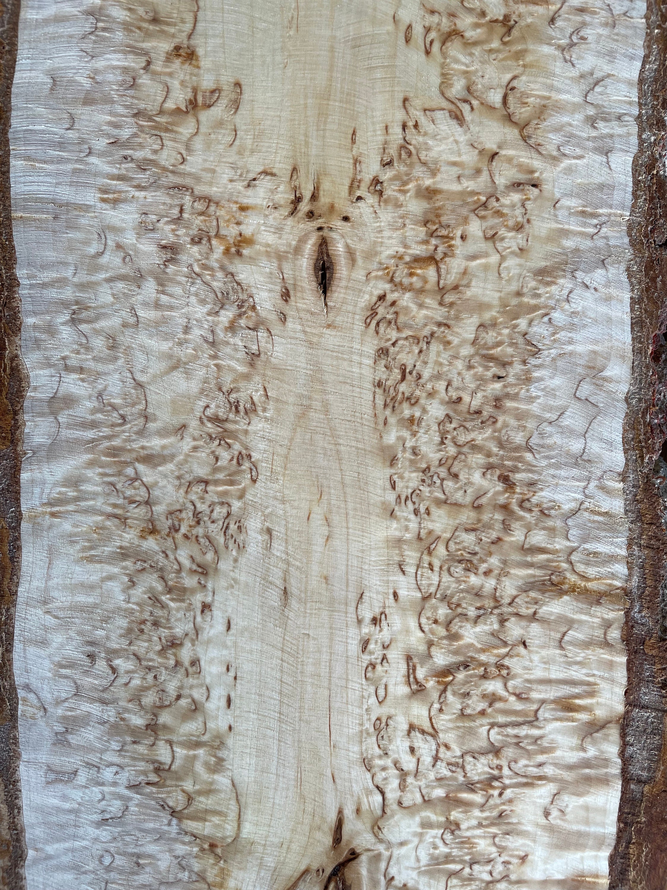 Karelian Masur Birch Live Edge Board. Exotic Hardwood Lumber. Rare ...
