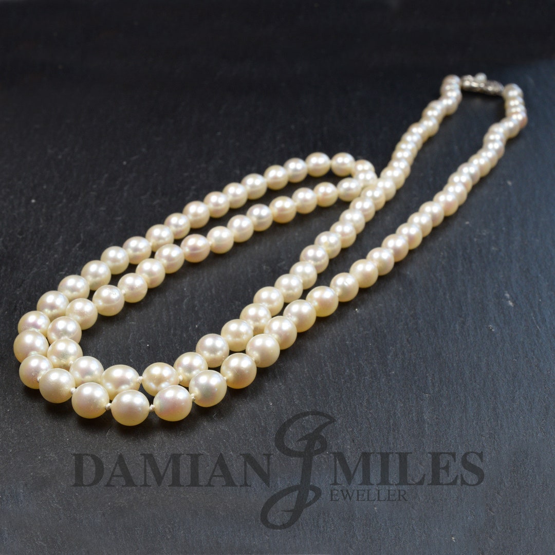 Vintage Long Row of Pearls With a Pearl Set Clasp. - Etsy