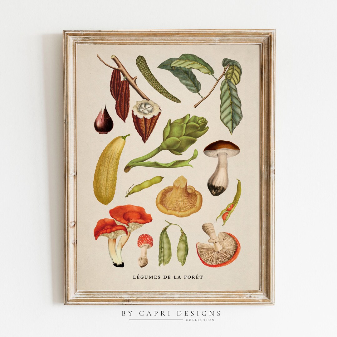 Fruit Prints Vintage Fruit Prints Botanical Art Natural History Print ...