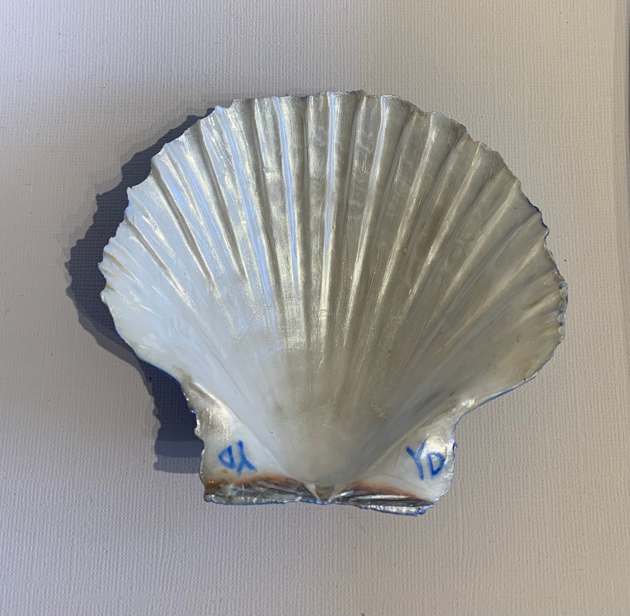 Hand Painted Shell - Etsy UK