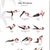 Morning and Evening Yoga Routine 2 Page Bundle, Yoga Poses Printable ...