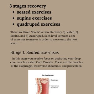 Diastasis Recti Recovery Guide After Pregnancy Core Recovery - Etsy