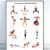 Morning and Evening Yoga Routine 2 Page Bundle, Yoga Poses Printable ...