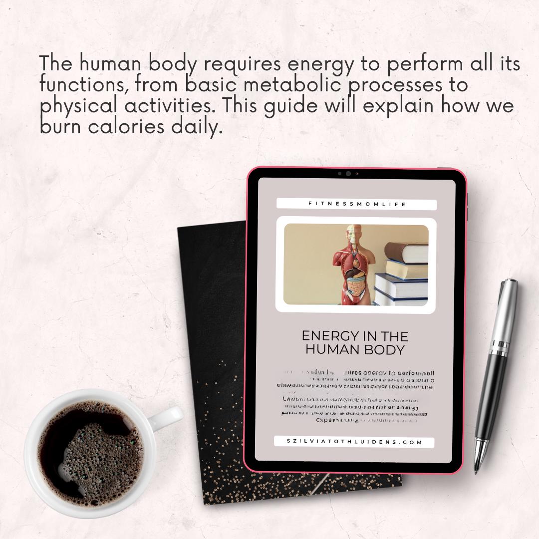 How Do We Burn Calories Guide Book, Calorie Burn Guide, Total Daily ...