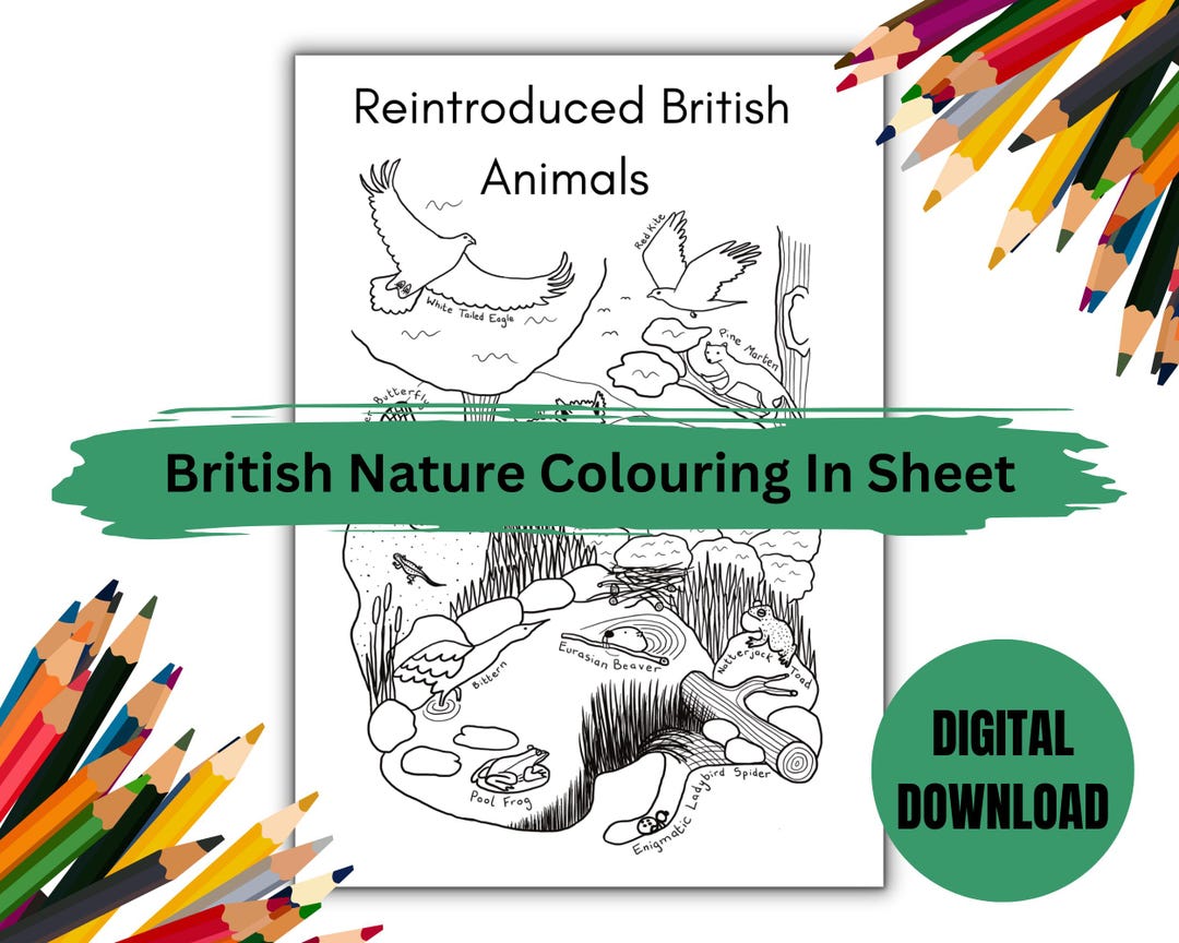 British Nature Colouring in Sheet - Reintroduced British Animals - Etsy UK