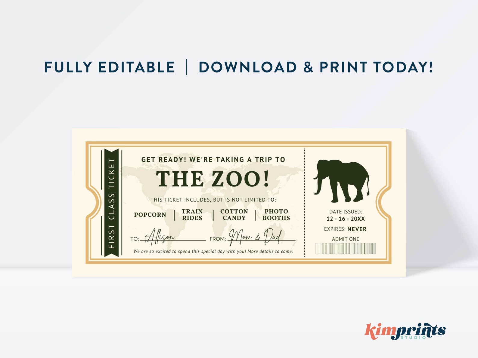 Zoo Trip Ticket Template, Printable Fun Day Coupon, Animal Experience ...