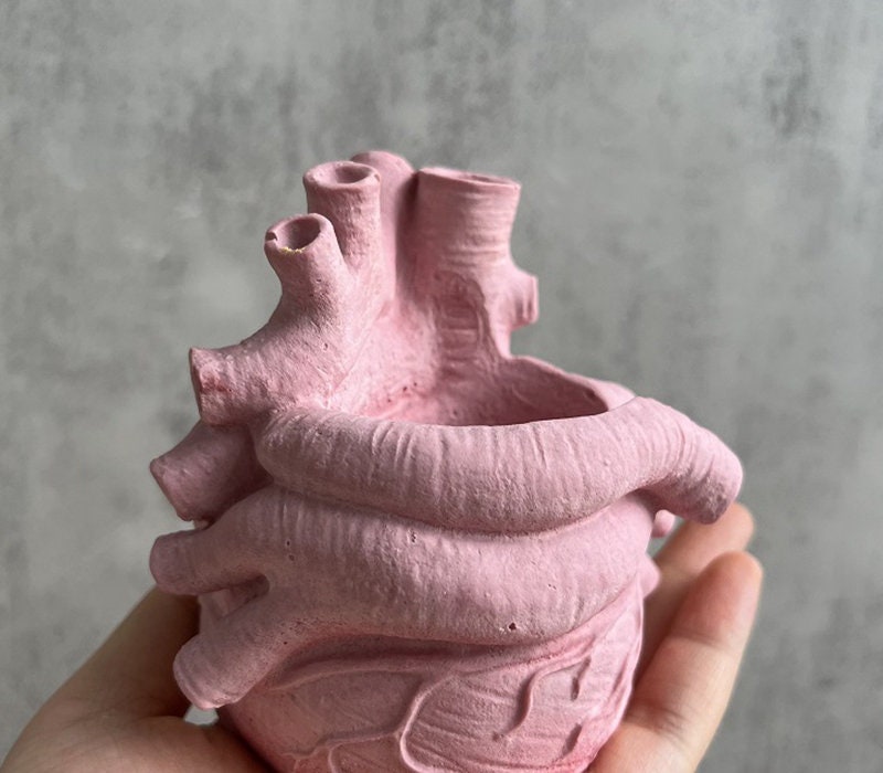 Human Heart Organ Candle Jar Mold-storage Jar Lid Silicone - Etsy Australia