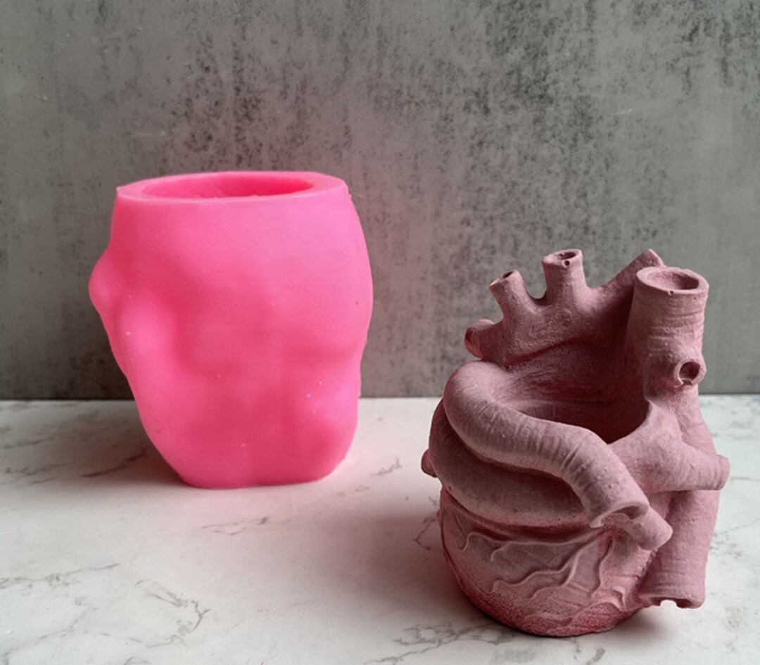 Human Heart Organ Candle Jar Mold-storage Jar Lid Silicone Mold Plaster ...