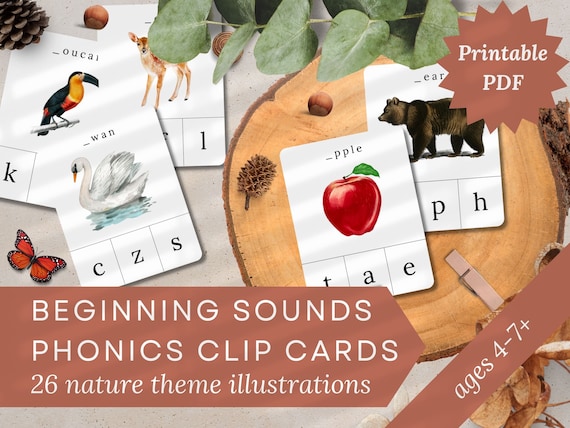 Phonics Flashcards Beginning Sounds Alphabet ABC Flash Cards - Etsy