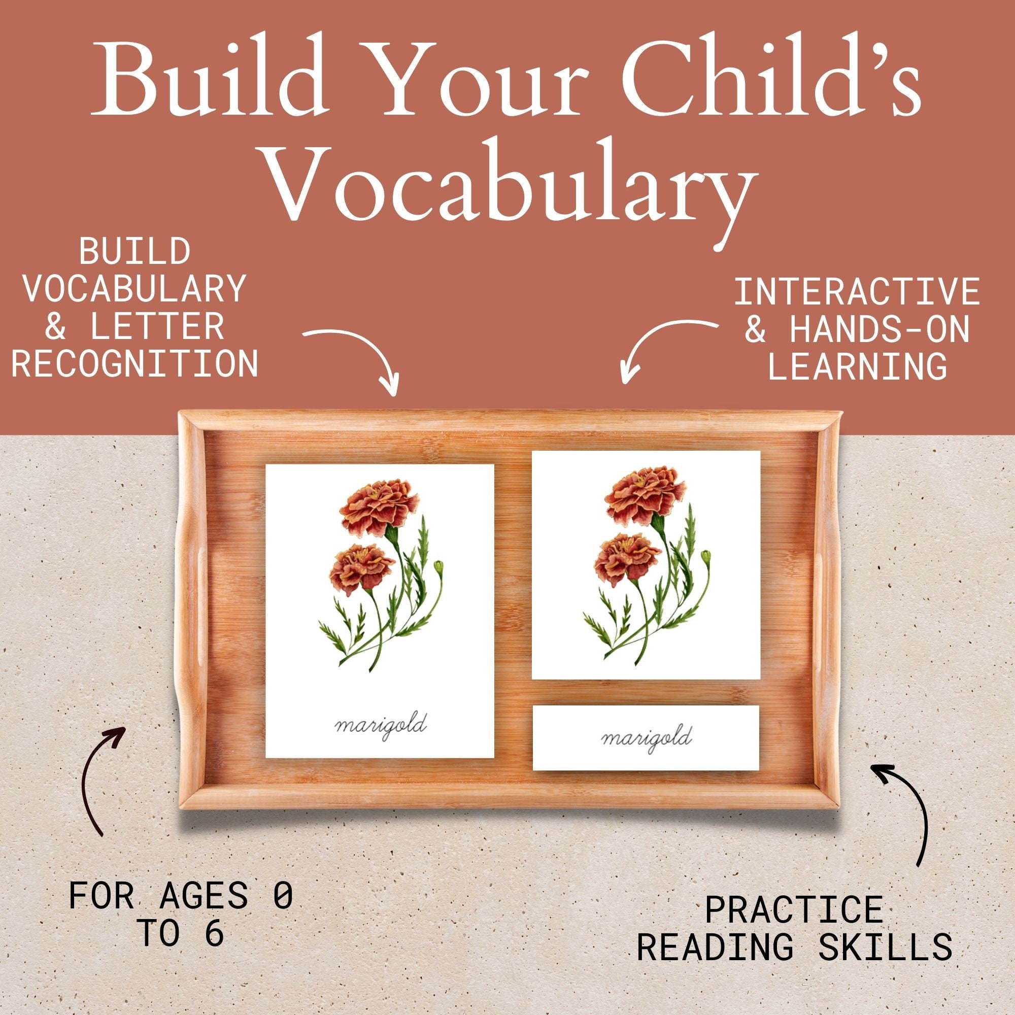 Flower 3 Part Card Printable, Montessori Language Cards for Toddlers ...