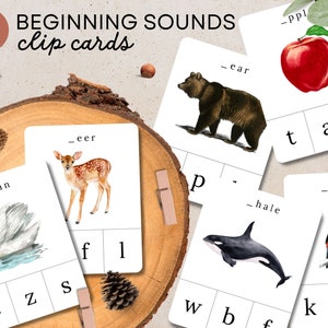 Phonics Flashcards Beginning Sounds Alphabet ABC Flash Cards - Etsy
