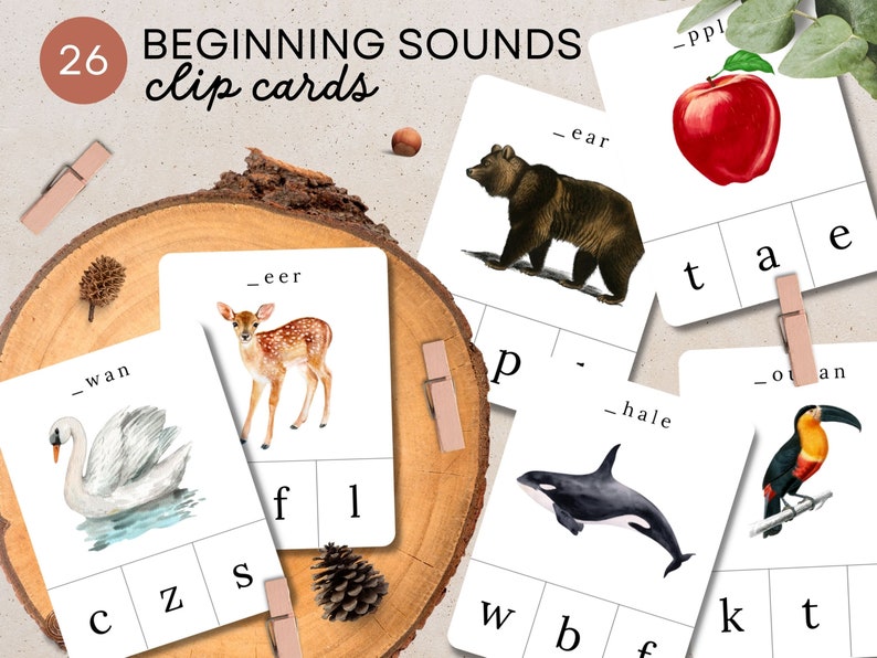 Phonics Flashcards Beginning Sounds Alphabet ABC Flash Cards - Etsy