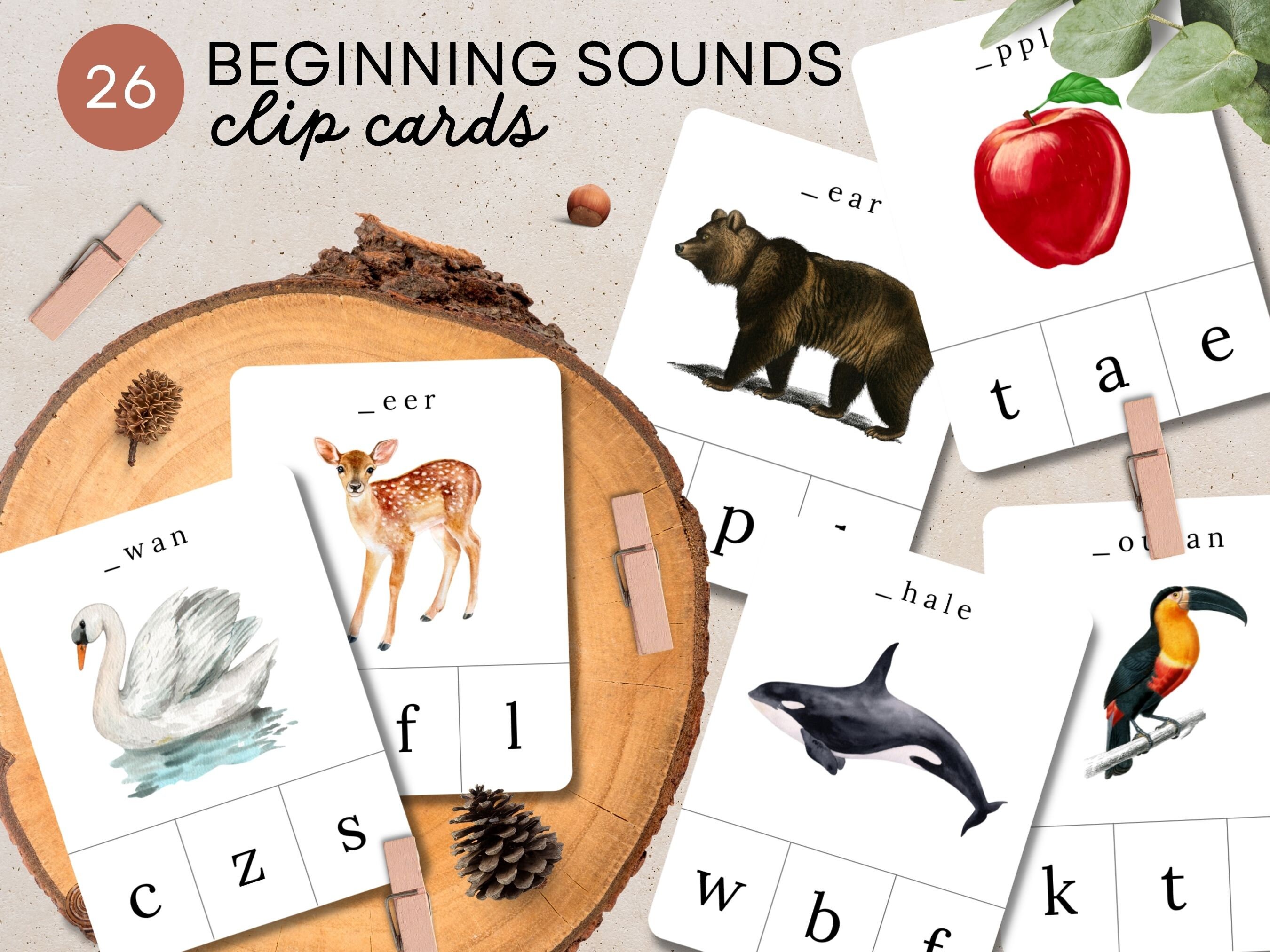 Phonics Flashcards Beginning Sounds Alphabet ABC Flash Cards - Etsy