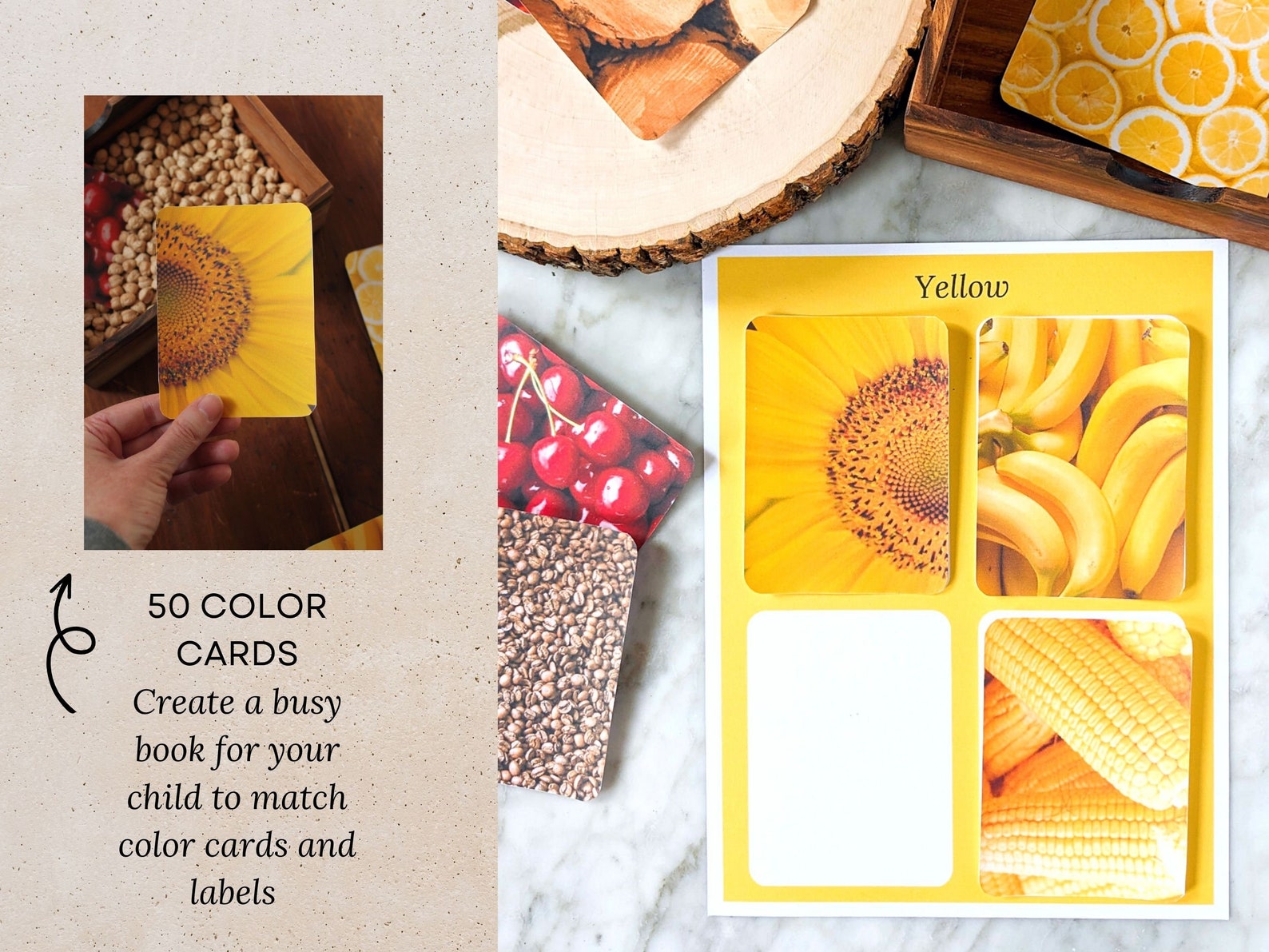 Color Sorting Printable Cards, Montessori Color Matching Activity ...