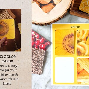 Color Sorting Printable Cards, Montessori Color Matching Activity ...