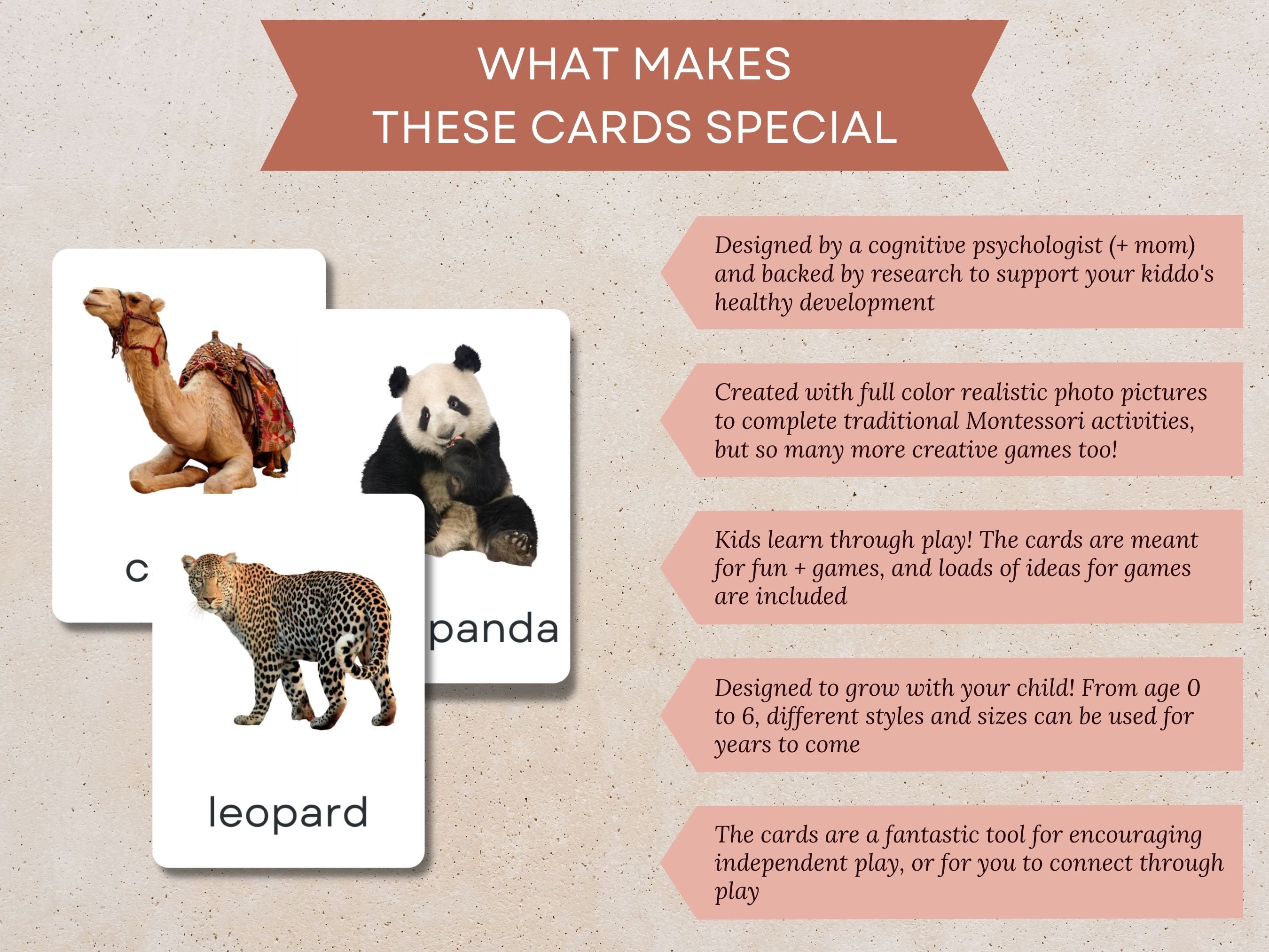 Wild Animal Flashcards for Kids, African Animals Montessori 3 Part ...
