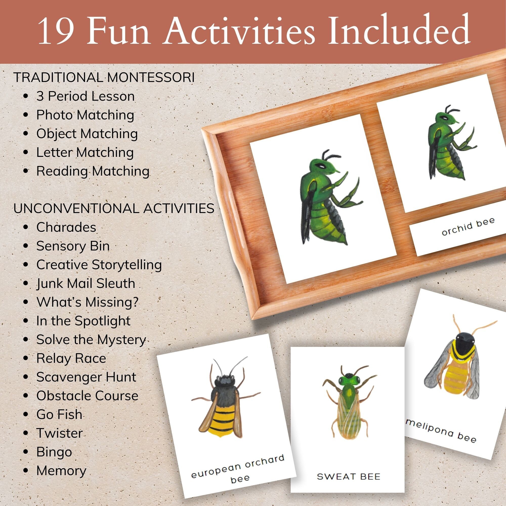 Types of Bee Vocabulary Flashcard, Montessori 3 Part Card Bee Preschool ...